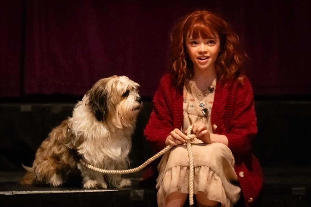 REVIEW: “Annie”, SMTC – DownstageWrite
